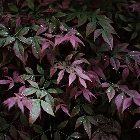 Interior Designer Laura19 11 On Instagram La Magia Della Natura Non