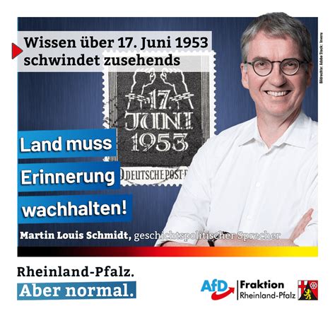Martin Louis Schmidt Afd Fraktion Ber Afd Plenarinitiative Zum