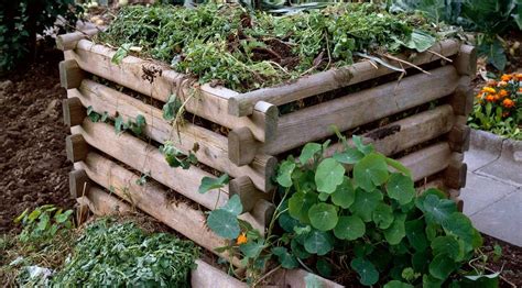 Richtig Kompostieren Tipps so werden Küchen und Gartenabfälle zu Dünger