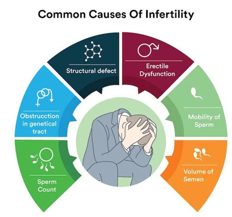 4 Causes Of Male Infertility Ivfholymothers
