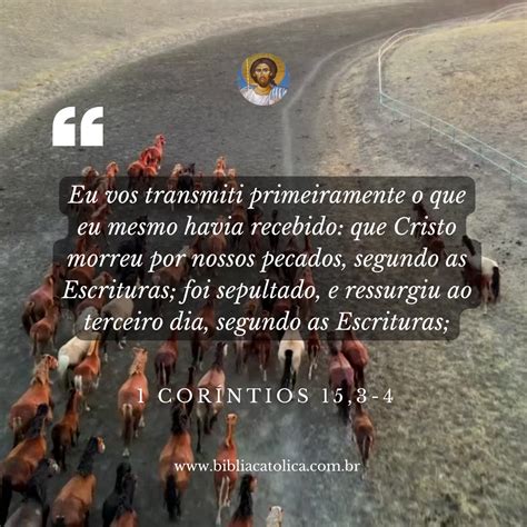 1 Coríntios 15 3 4 Bíblia Católica Online