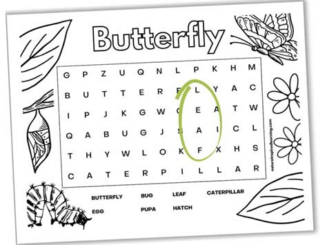 Butterfly Word Searches Nature Inspired Learning