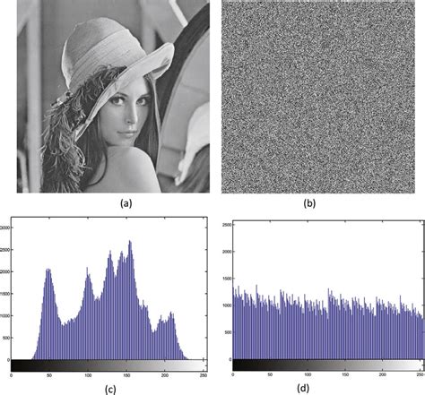 the bit level permutation effect by generalized arnold map a download scientific diagram