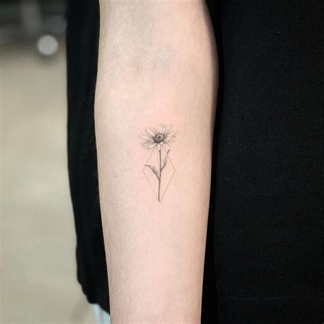 Limage Contient Peut Tre Une Personne Ou Plus Daisy Flower