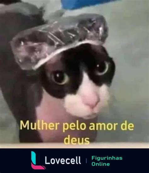 Figurinha Mulher Pelo Amor De Deus Para WhatsApp Lovecell