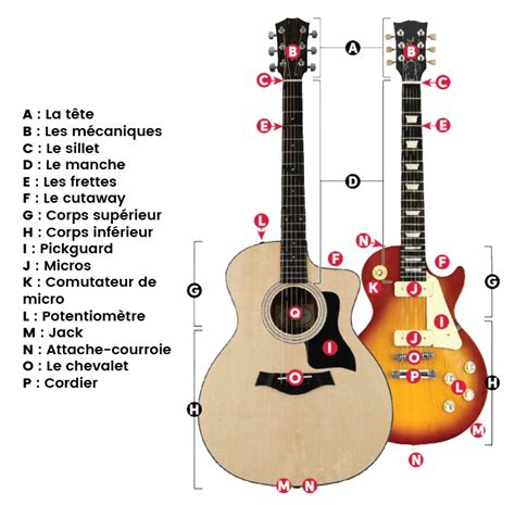 Parties De La Guitare Le Guide Pour Tout Savoir MagicGuitare