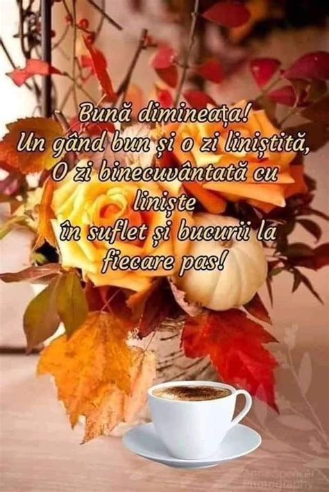 Romanian Quote Good Woman Quotes Good Morning Emoticon Aha Autumn