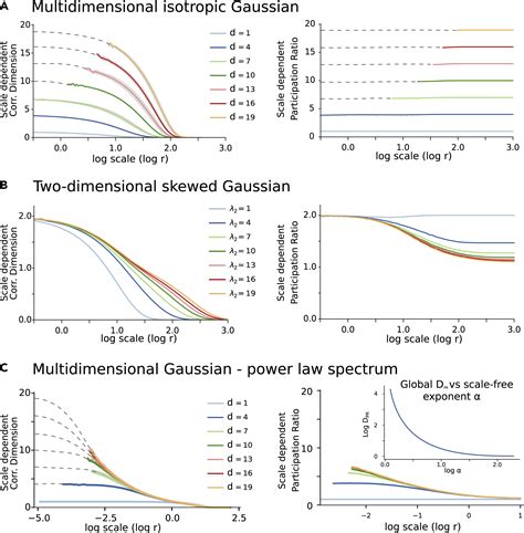 A Scale Dependent Measure Of System Dimensionality Patterns