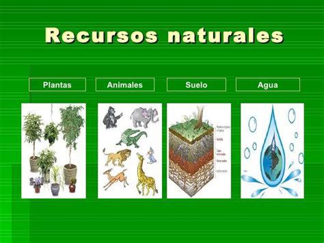 Cu Les Son Los Recursos Naturales Cuales Fm
