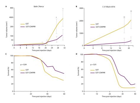 John Libbey Eurotext e VEGF IMMUNO actu Nouvelles stratégies anti