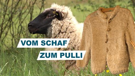 Von Der Wolle Zum Pullover Handwerkskunst SWR Plus YouTube