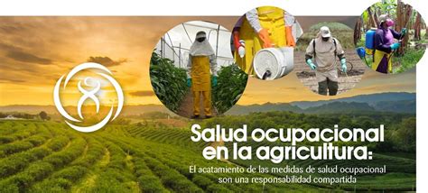 Proyectos CSO Agricultura