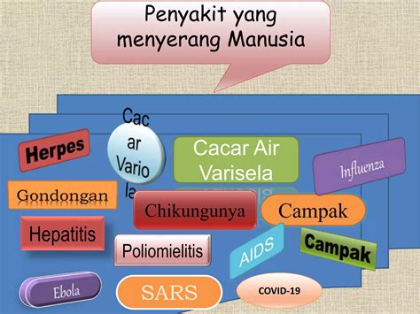 Ppt Peranan Virus Pptx