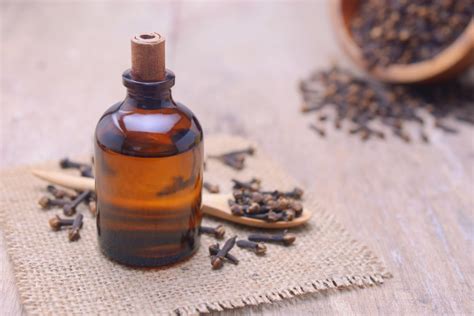 28 Proven Health Benefits Of Clove Oil Health Tips