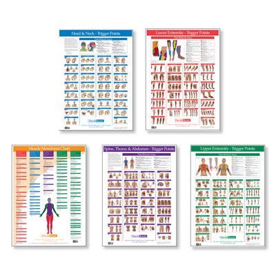 Trigger Point Charts Complete Set Of Therapy Charts Trigger