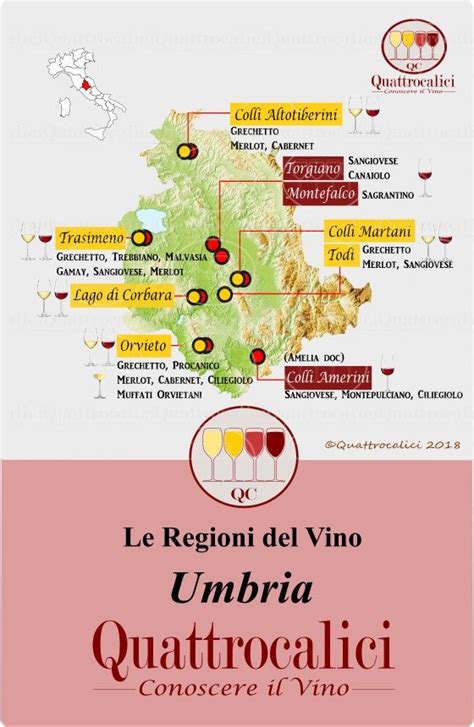 Il Vino In Umbria Quattrocalici Le Regioni Del Vino Vino Italiano