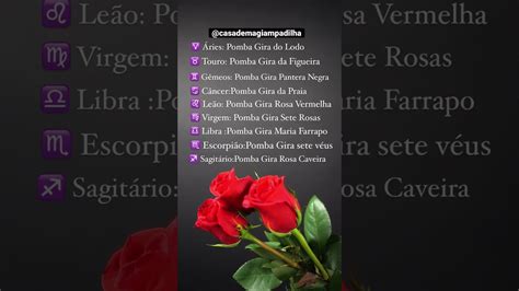 O Que Significa Sonhar Pomba Gira 2023 Resolvido Ame Jumelle