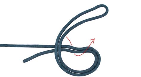 Surgeon S End Loop Knot 5 Easy Steps To Tying The Surgeon S Loop