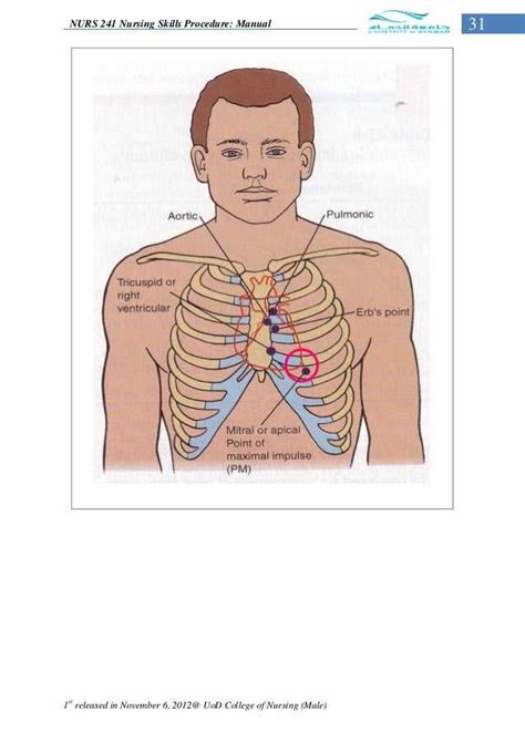 How To Locate The Point Of Maximal Impulse A Comprehensive Diagram Guide