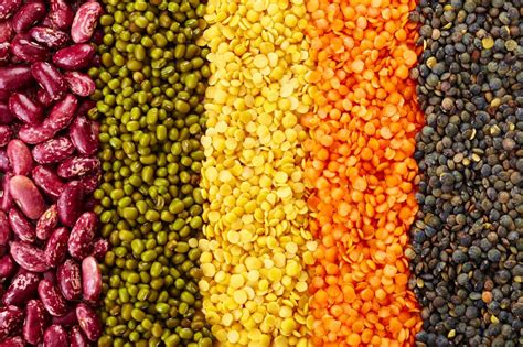 A comer legumbres Descubre todos sus increíbles beneficios FMDOS