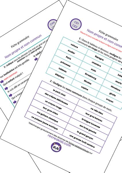 Exercices Nom Propre Nom Commun CE1 CE2 CM1 CM2 à imprimer en PDF