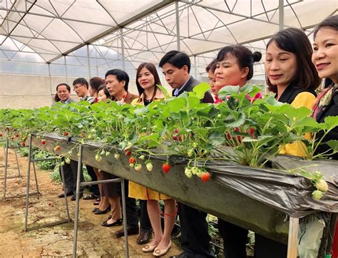 Sơn La phát triển du lịch gắn với bảo tồn phát huy bản sắc dân tộc