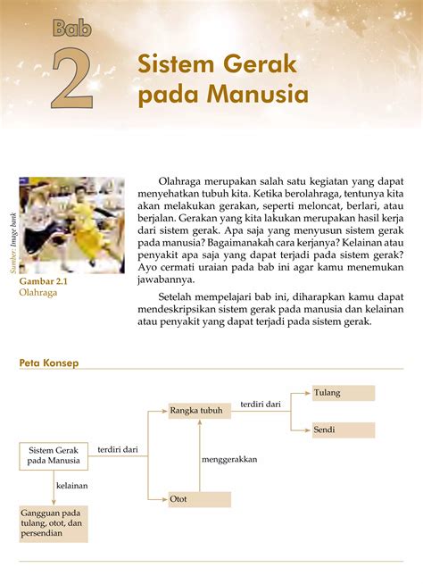 Sistem Gerak Pada Manusia PDF