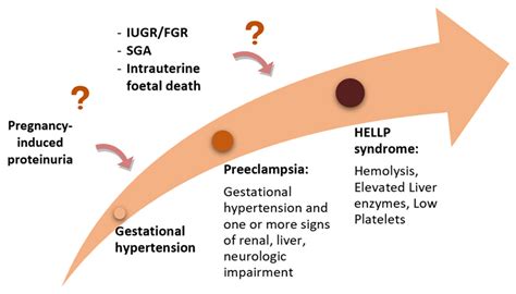 JCM Free Full Text The Hypertensive Disorders Of Pregnancy A Focus
