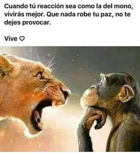 Cuando tu reacción sea como la del mono vivirás mejor Que nada robe