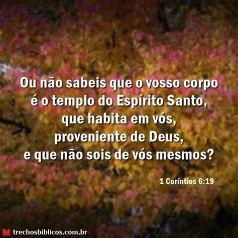 1 Corintios 6 19