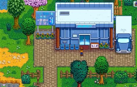 Discover New Locations In Stardew Valley Expanded Jojamart Seagull