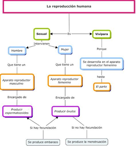 Mapa Conceptual De La Sexualidad En La Adolescencia Zuela Porn Sex