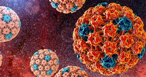 HPV das Humane Papillomavirus kann Kopf und Halskrebs auslösen