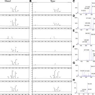 Hplc Elution Profiles And Ms Ms Information About Flavonoids In Rte