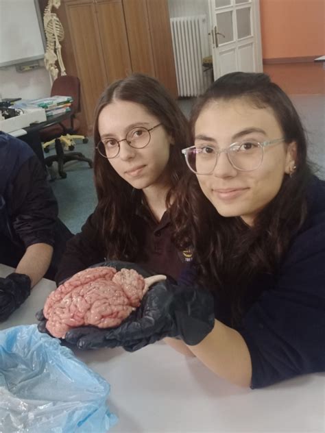Beyin Diseksiyonu Etkinliği Trabzon Merkez Fen Lisesi