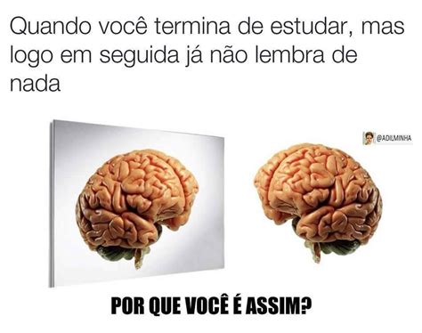 Quando você termina de estudar mas logo em seguida já não lembra de