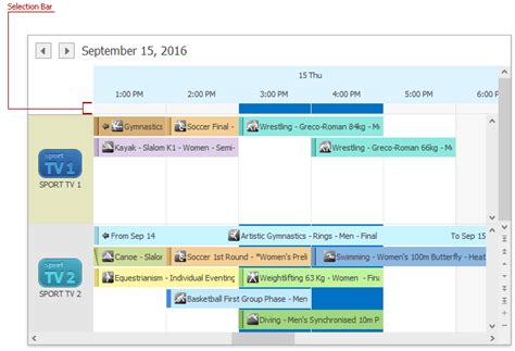 Selection Bar WinForms Controls DevExpress Documentation