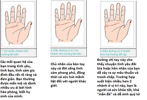 Cách Xem Chỉ Tay Đường Tình Duyên Nam Nữ Chính Xác nintendic