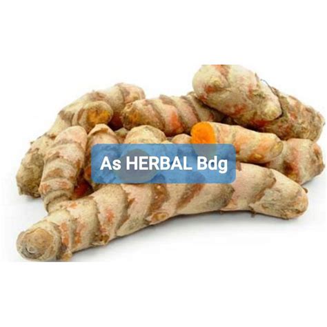 Jual Kunyit Segar Koneng 1 Kg Kunir Segar Shopee Indonesia