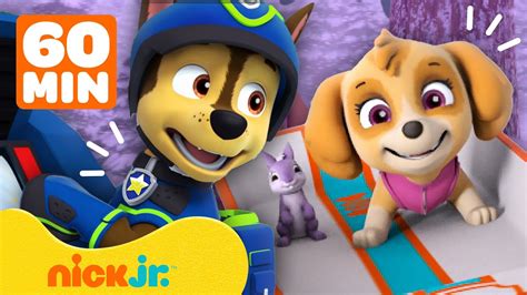 Paw Patrol La Squadra Dei Cuccioli I PAW Patrol Salvano I Loro