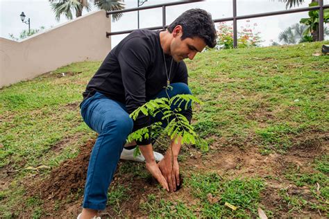 Director de Gestión Ambiental pisa el acelerador en la siembra de