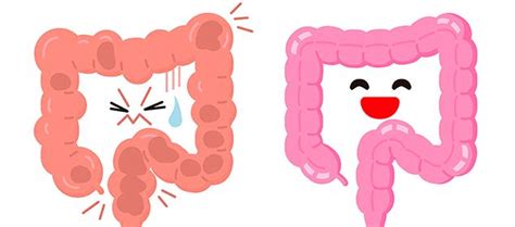 cómo limpiar el colon naturalmente coloncleansingfoods Limpieza de