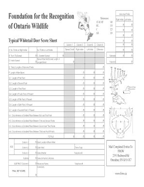 Whitetail Deer Score Sheet Pdf Fill And Sign Printable Template Online