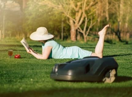 Comment Choisir Une Motobineuse Pour Travailler Son Jardin