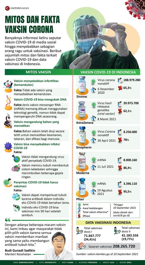 Mitos Dan Fakta Vaksin Corona Infografik Antara News