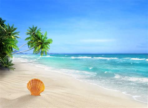 平静的海岸线金色的海滩图片 美丽的热带海滩景观素材 高清图片 摄影照片 寻图免费打包下载