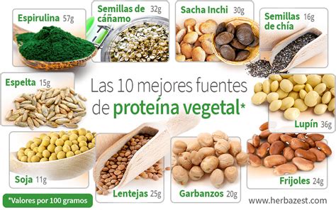 Las 10 mejores fuentes de proteína vegetal HerbaZest