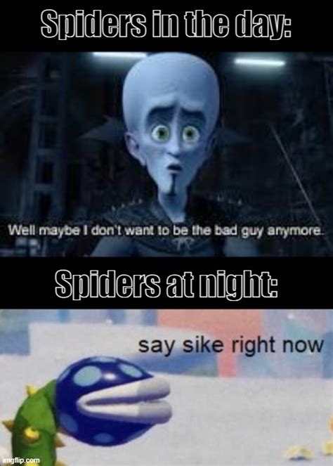 Choose Your Side Spiders Imgflip