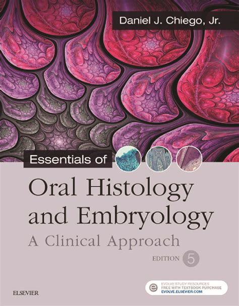 1 Essentials Of Oral Histology And Embryology A Clinical Approach 5th