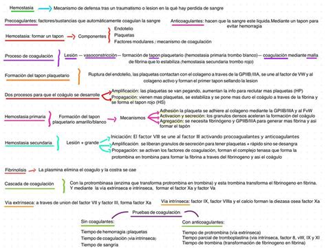 Fisiología de la sangre y sistema autoinmune Luciana Tosi Martinez